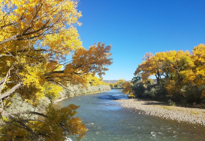 Animas_NM - San Juan Citizens Alliance